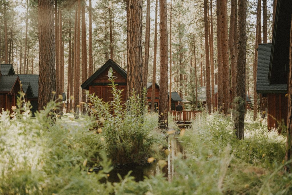 five-pine-lodge-wedding_0014 - Blog